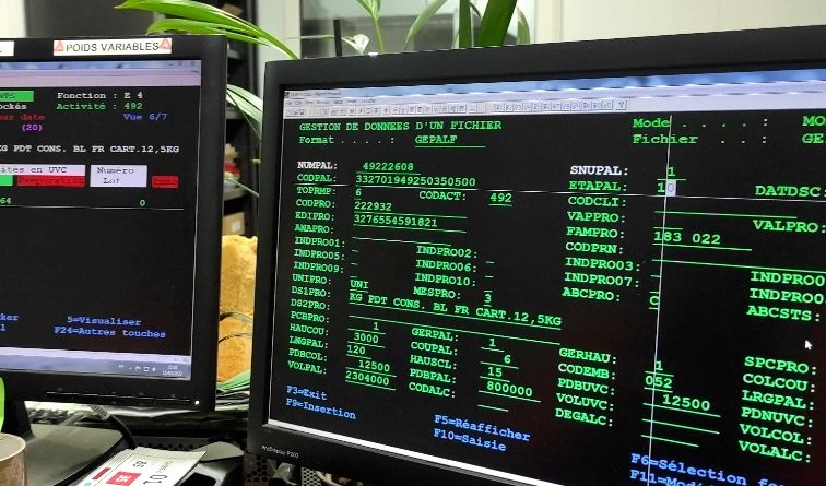 Infolog : L’Ingénierie Logistique au Service de l’Efficacité et de la ...